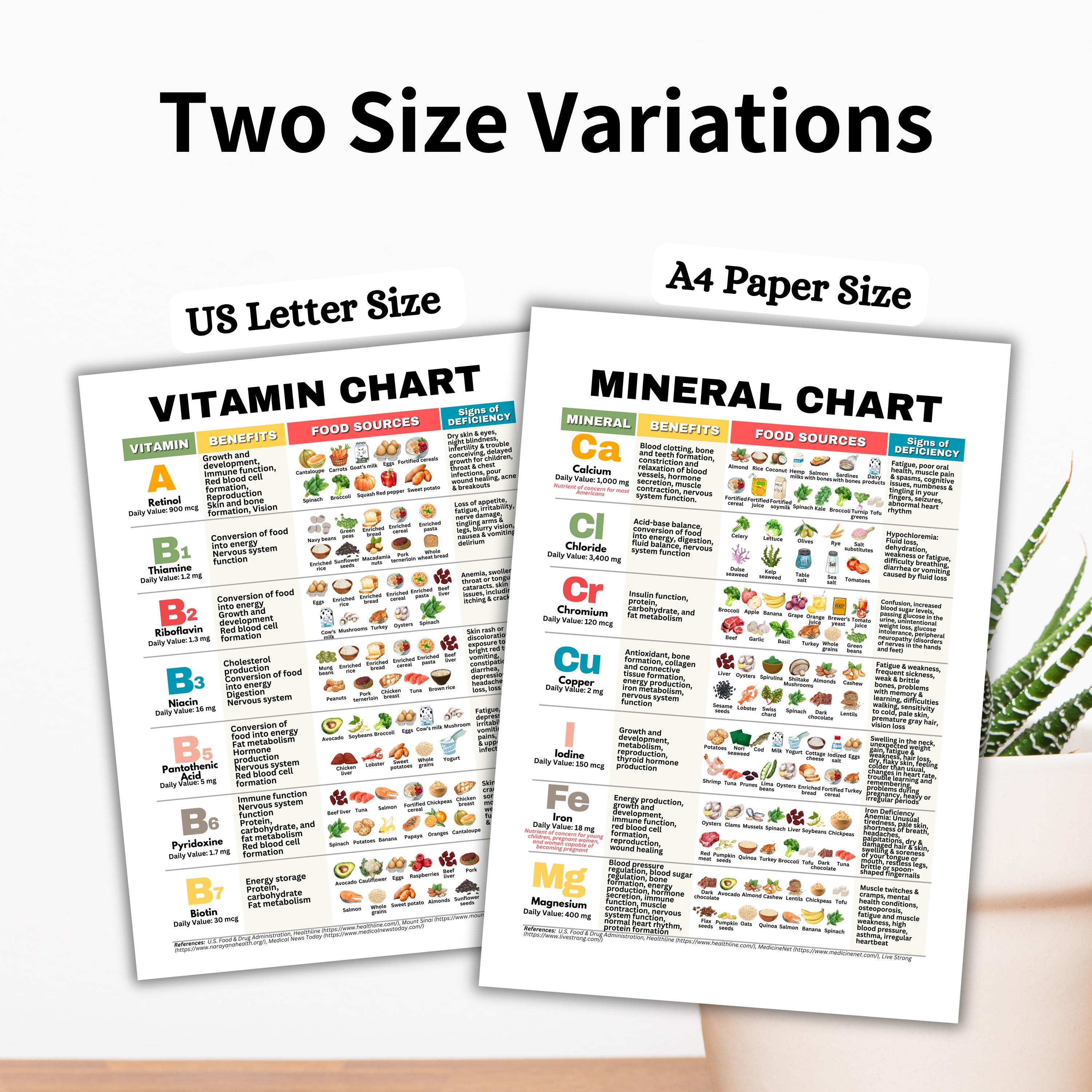 Vitamin & Mineral Chart Cheat Sheets and Visual Guide for All 14 ...