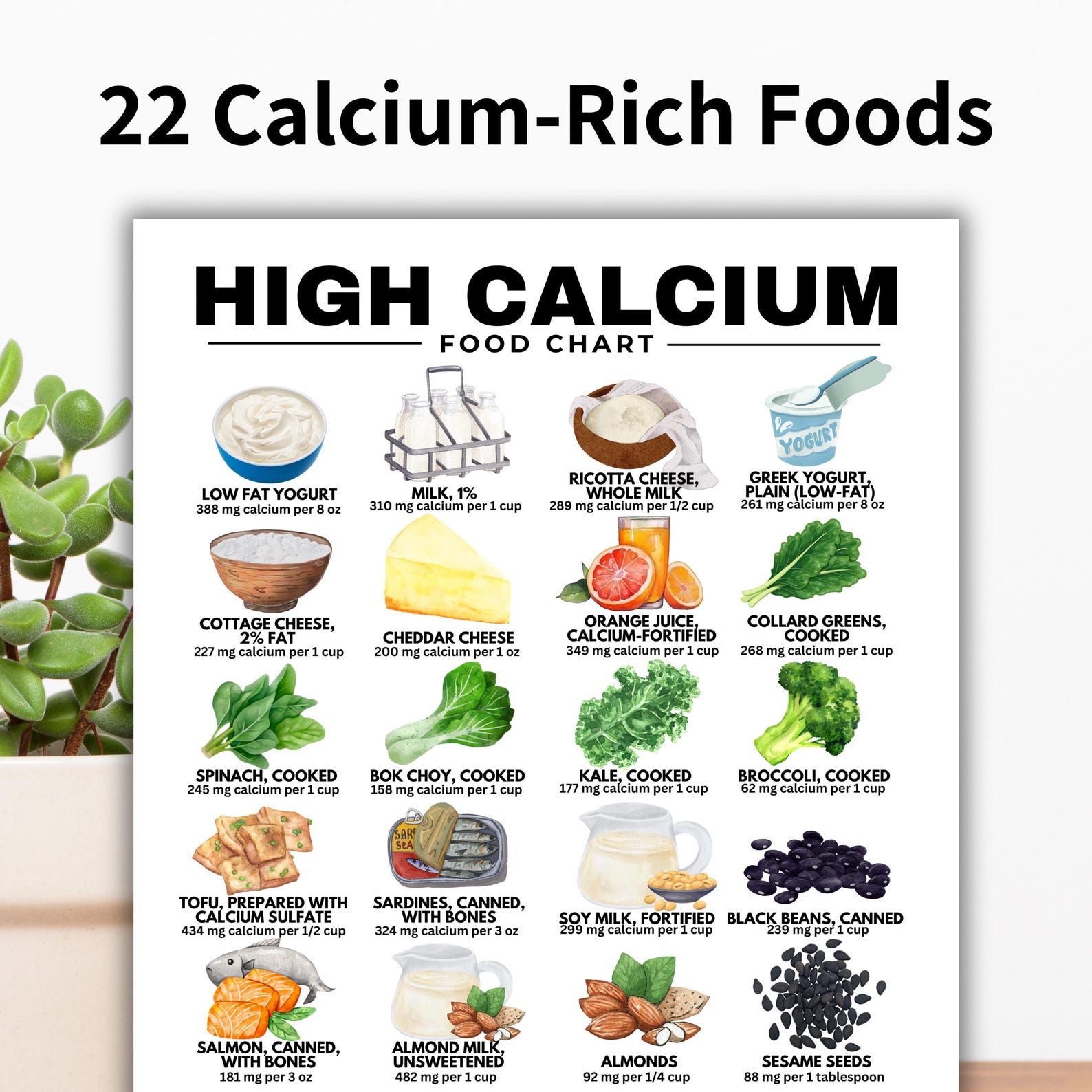 Calcium Food List, High Calcium Chart for Osteoporosis, Postmenopausal ...
