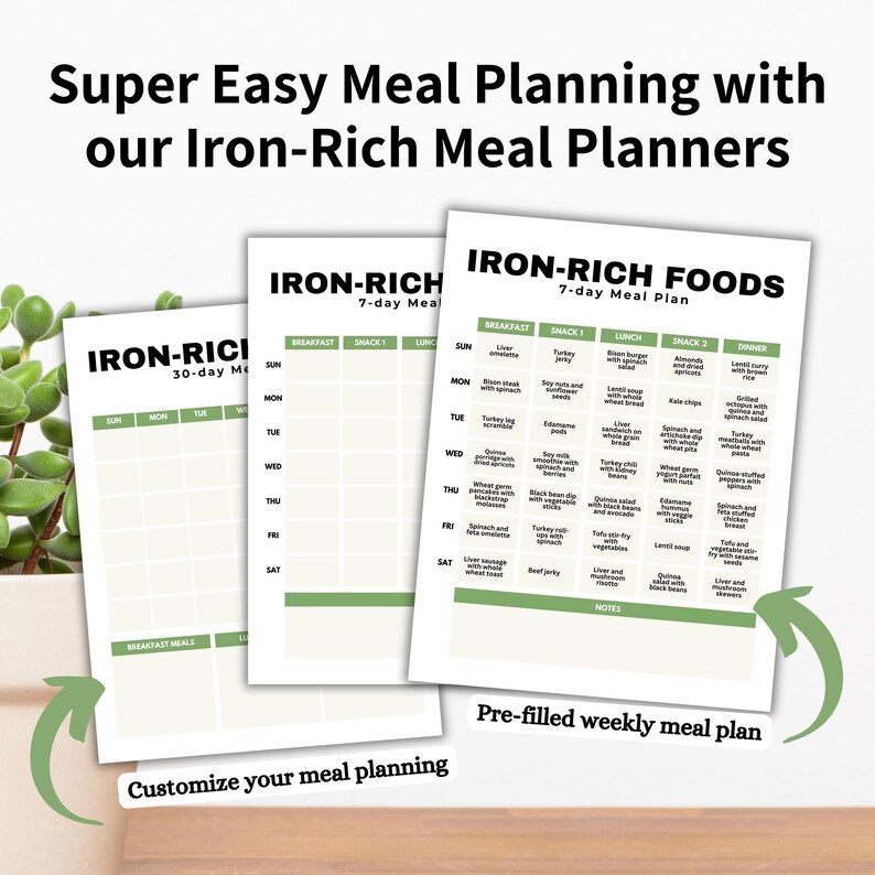 Iron Rich Food List, High Iron Foods for Anemia or Iron Deficiency ...