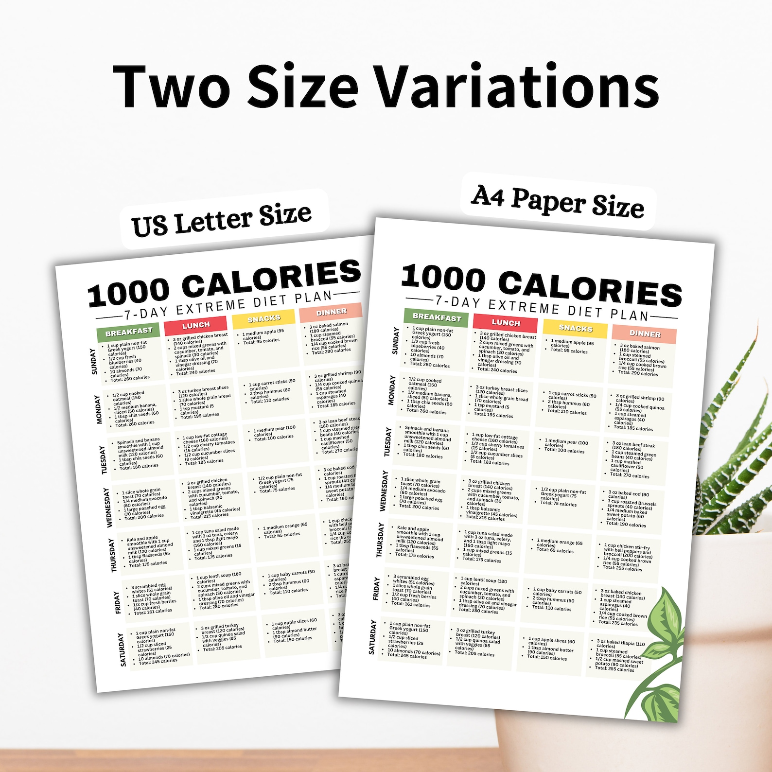 1000 Calories Extreme Diet Plan, Dietitian Low Calorie Diet Planner for ...