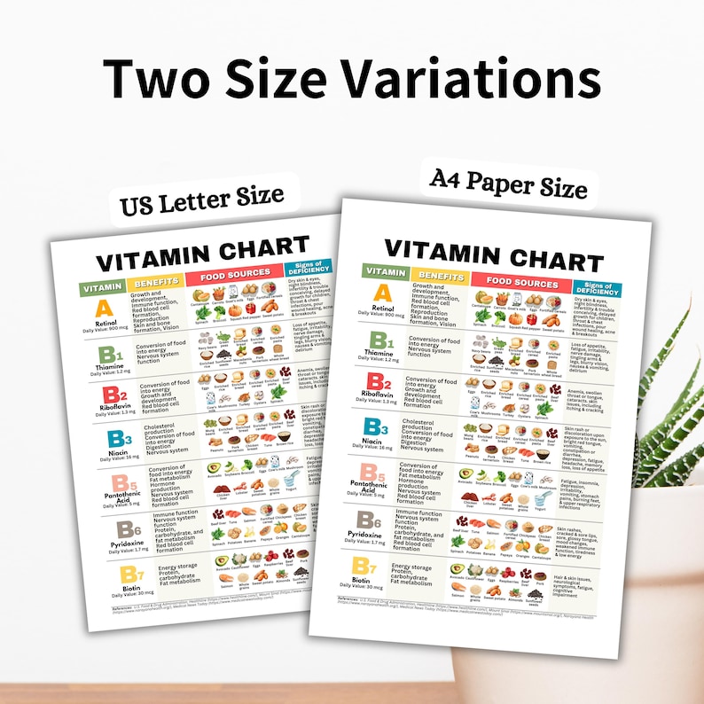 Vitamin Chart Cheat Sheets Visual Guide for All 14 Vitamins, Vitamin Food Sources Chart, Signs ...