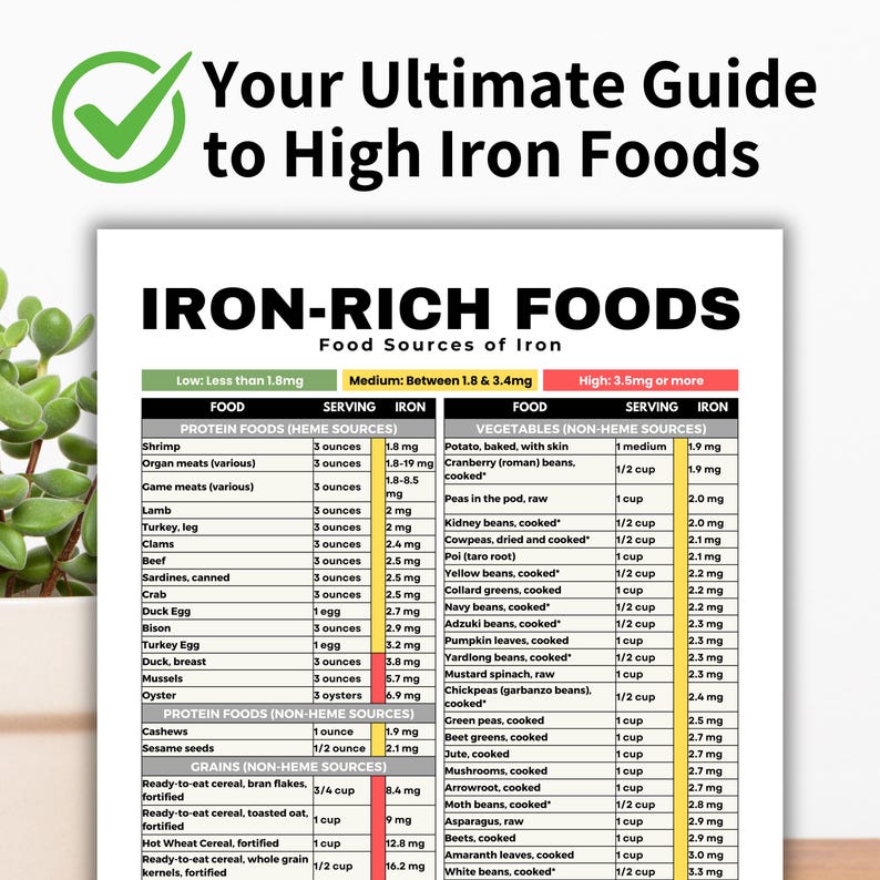 Iron Rich Food List, High Iron Foods for Anemia or Iron Deficiency ...