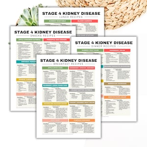 Stage 4 Kidney Disease Food List, Kidney Diet Meal Planner, Renal Diet ...