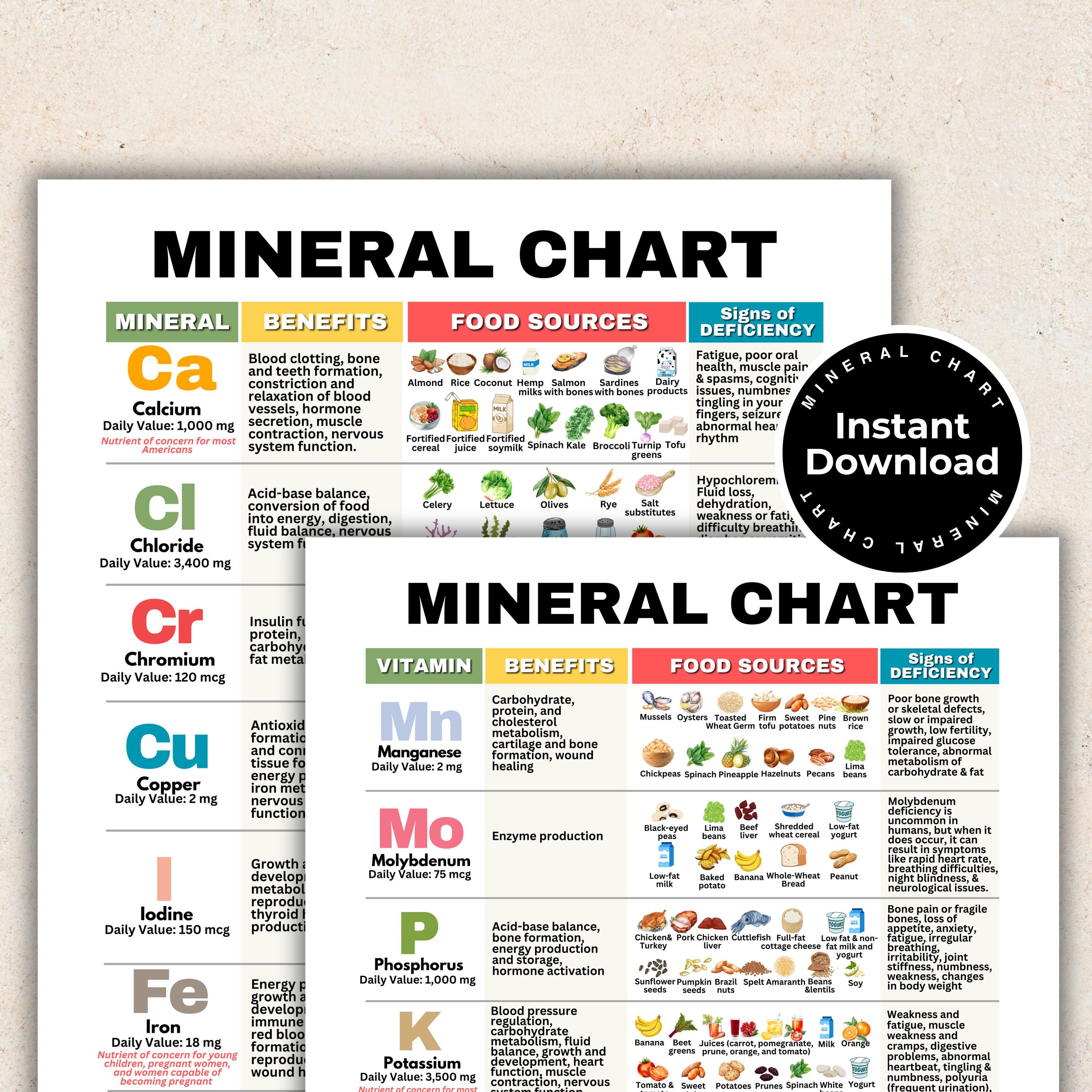 Mineral Chart Cheat Sheets Visual Guide for All 14 Minerals, Mineral ...
