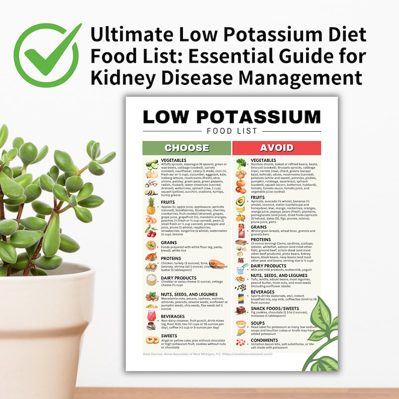 Low Potassium Diet Food List for Stage 4 Kidney Disease Renal Diet ...