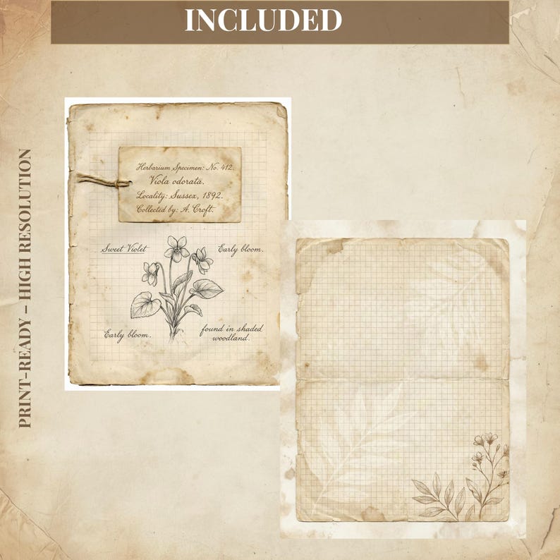 Vintage Botanical Graph Paper Pack, Antique Ephemera Backgrounds, Junk ...