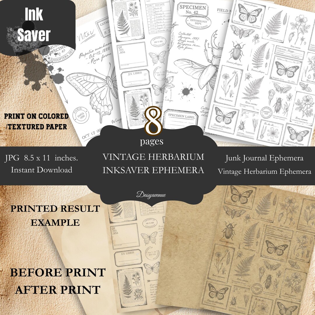 Vintage Herbarium Ink Saver Ephemera Pages, Black Botanical Line Art ...