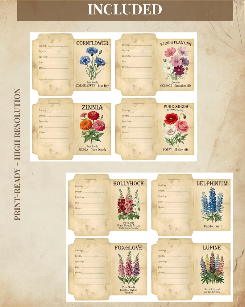 Vintage Spring Flower Seed Packets Printable, Botanical Seed Envelopes ...