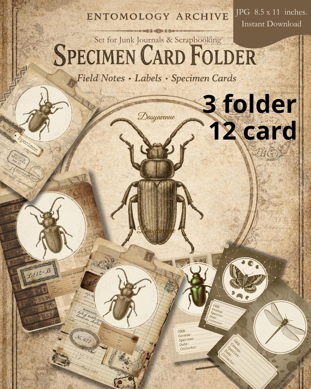 Vintage Specimen Card Folder Printable, Entomology Journal Cards ...