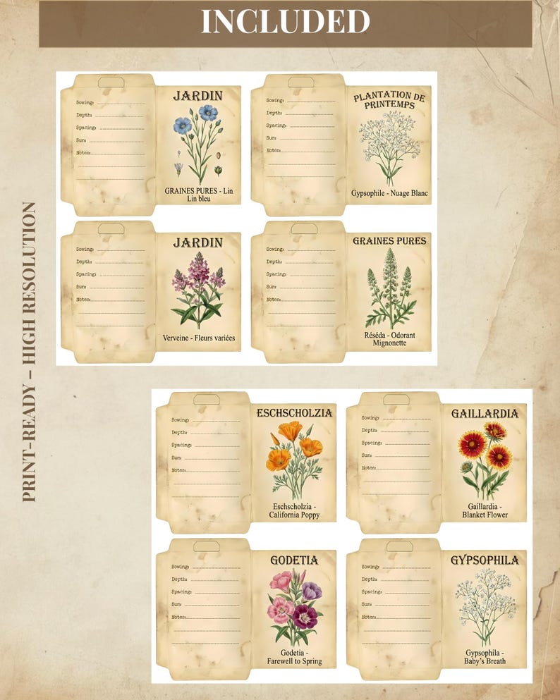Vintage Spring Flower Seed Packets Printable, Botanical Seed Envelopes ...
