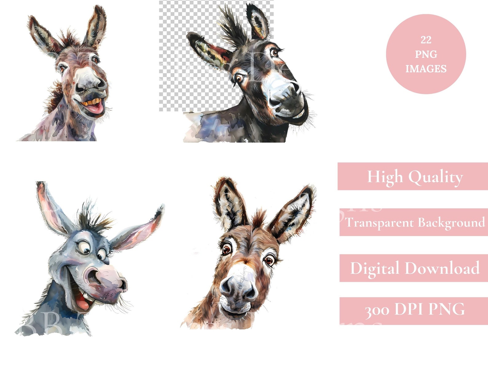 Donkey Faces PNG Clipart Bundle: Commercial Use Ephemera (digital ...