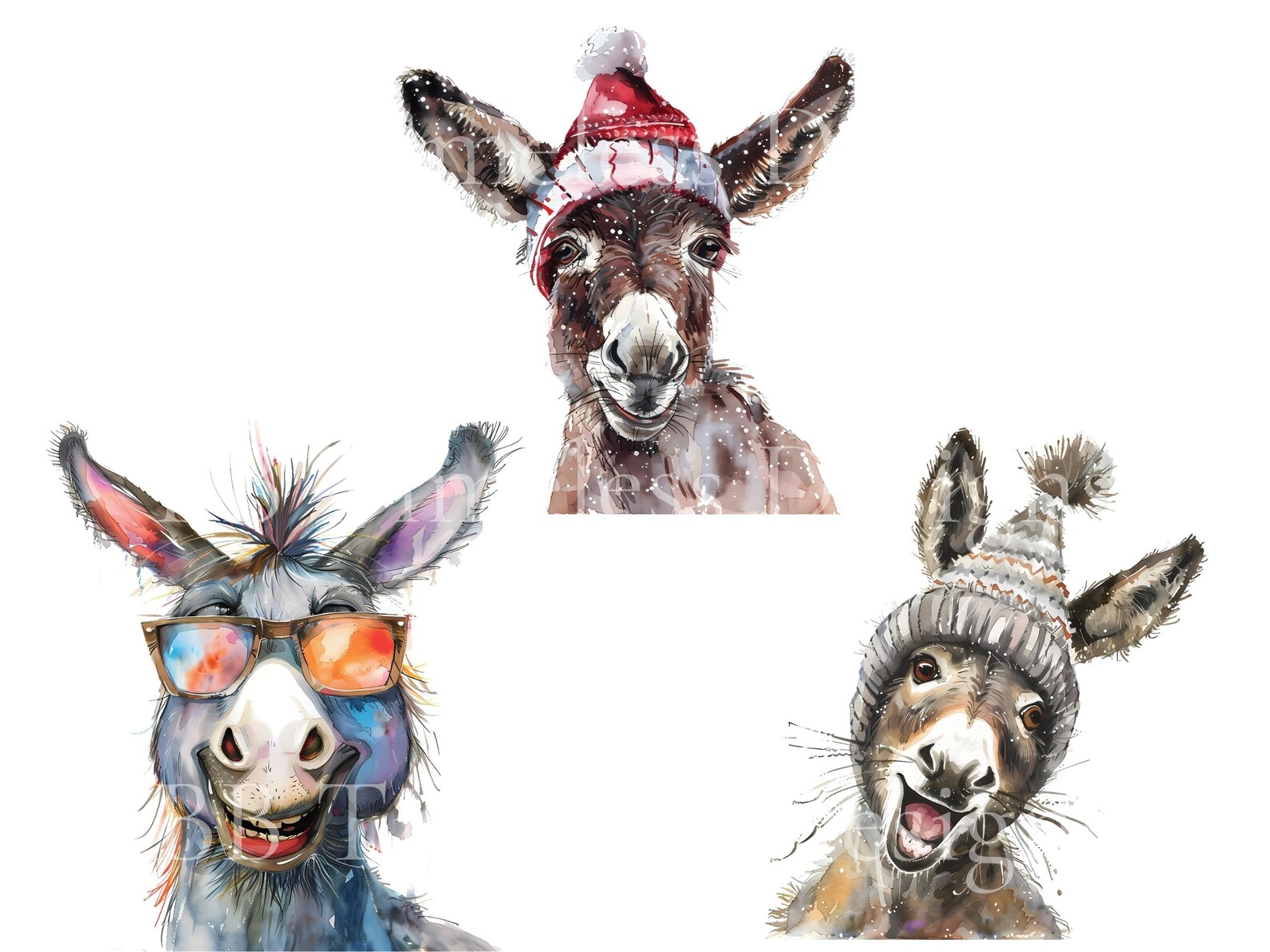Donkey Faces PNG Clipart Bundle: Commercial Use Ephemera (digital ...