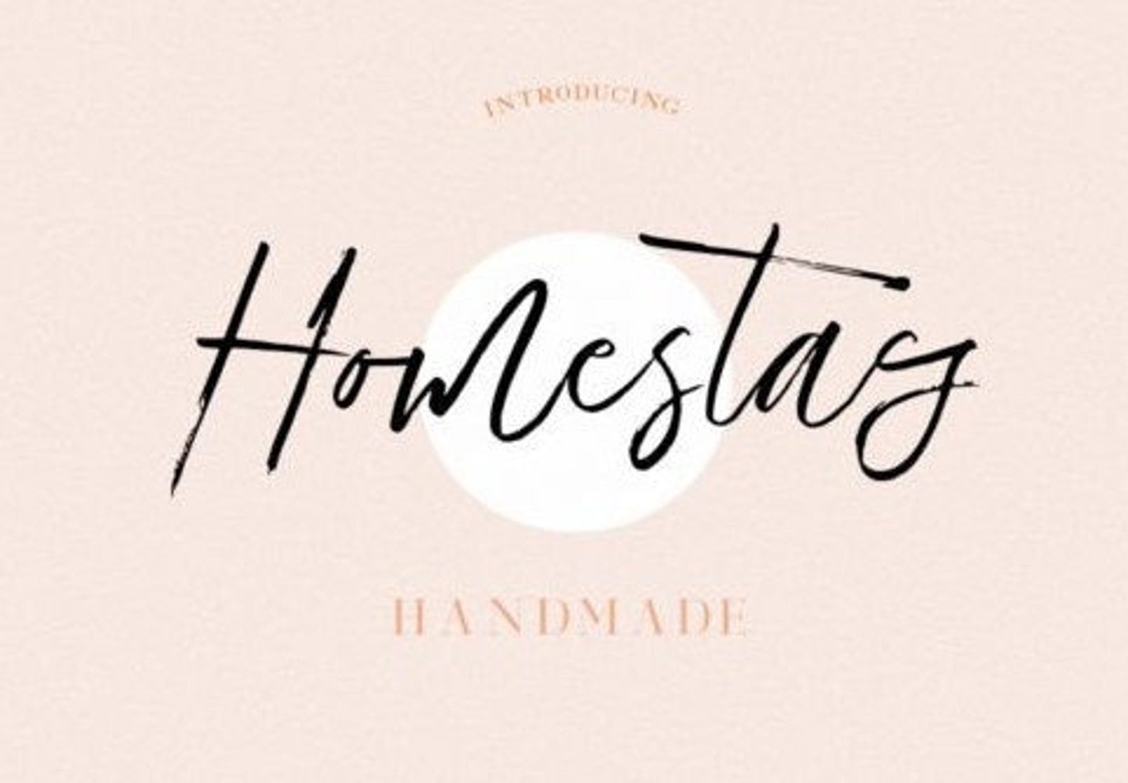 Homestay Font, Unique Script Font, Personal Signature Font, Modern ...