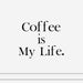 Clari Font, Vintage Font, Retro Font, Display Font, Branding Font ...
