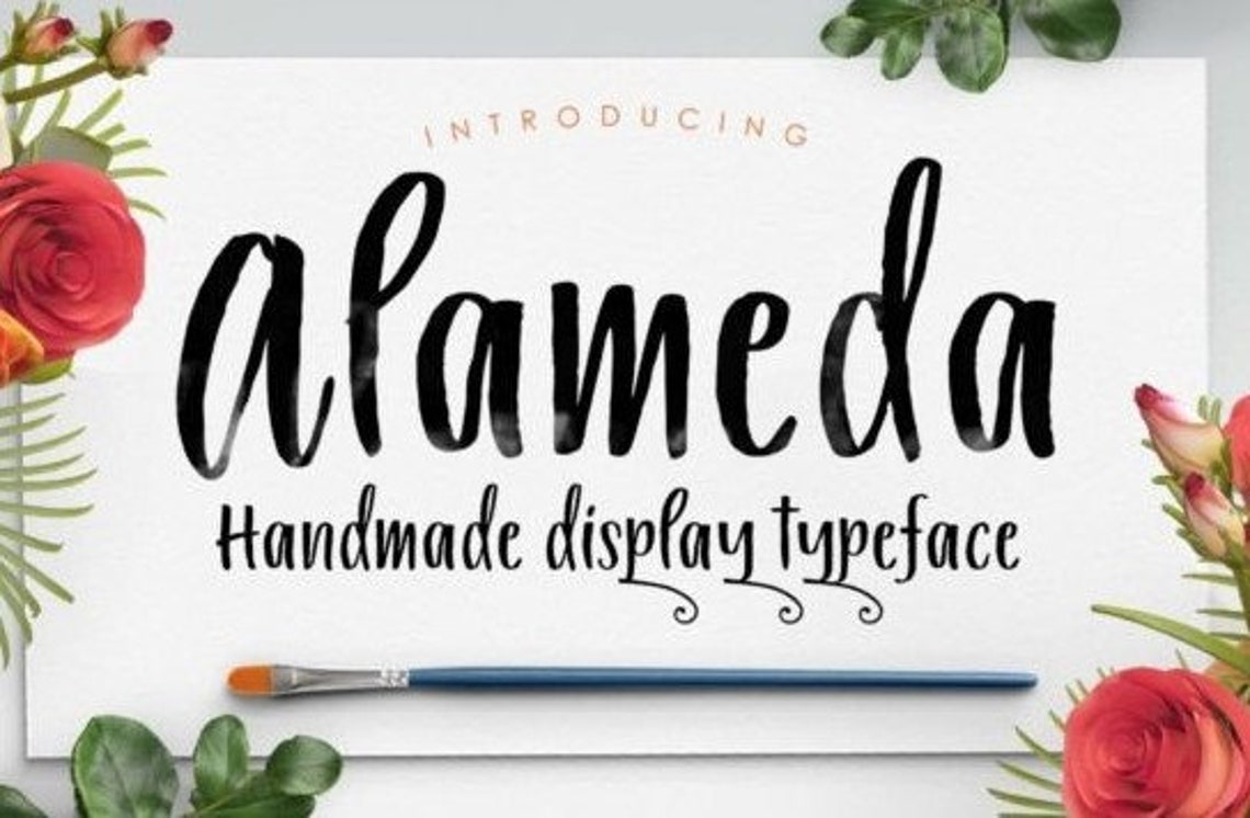 Alameda Font, Unique Script Font, Personal Signature Font, Modern Calligraphy, Classic Boho Font ...