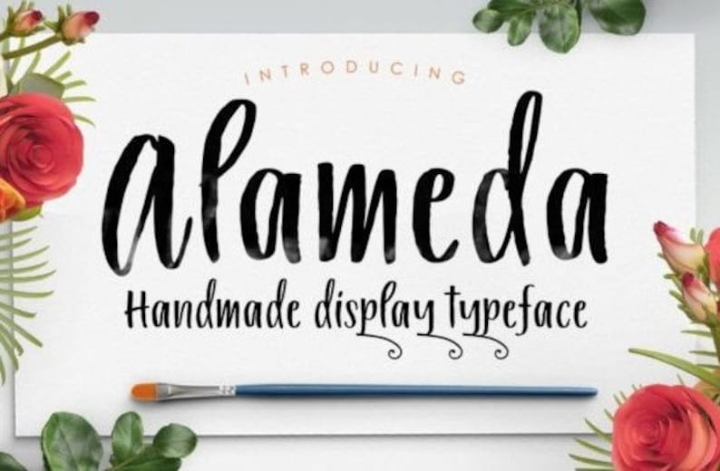 Alameda Font, Unique Script Font, Personal Signature Font, Modern Calligraphy, Classic Boho Font ...