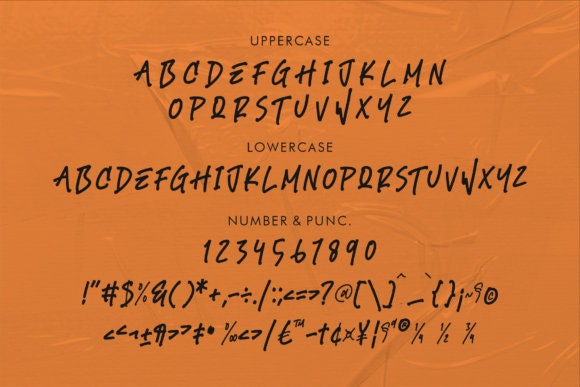 Black Hawk Font, Script Beautiful Font, Vintage Font, Retro Calligraphy ...