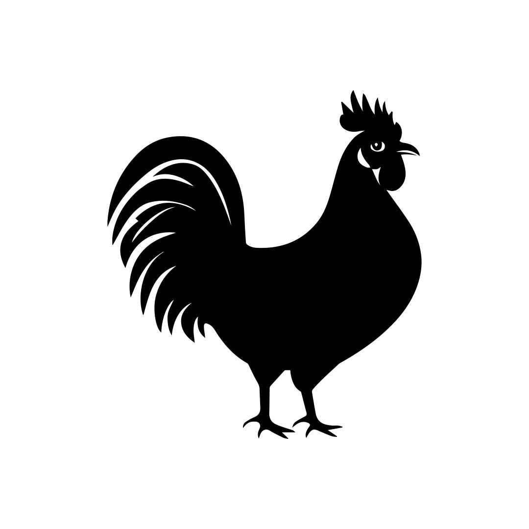 Pollo Svg / Gallo Svg / Pollo de granja Svg / Susurrador de pollos Svg ...