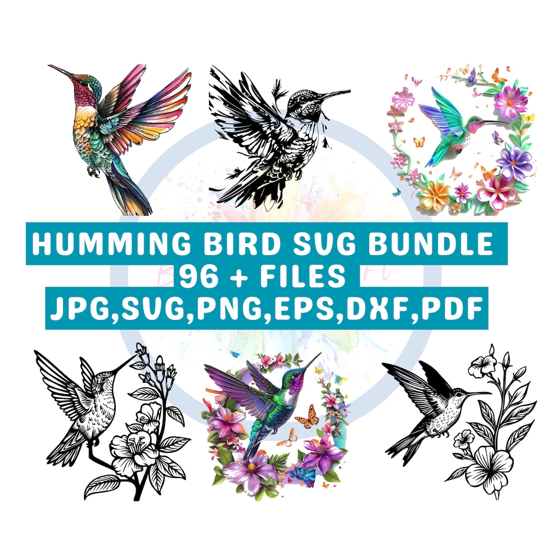 Hummingbird Bundle Svg, Hummingbird Vector, Bird Svg, Hummingbird Svg ...
