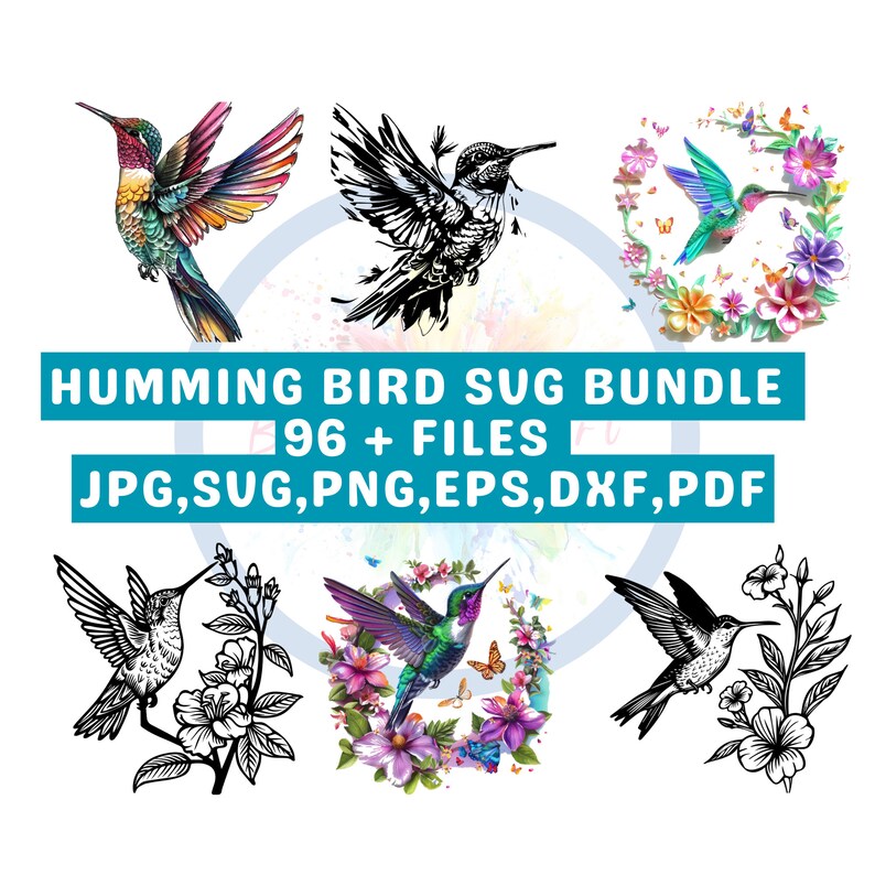 Hummingbird Bundle Svg, Hummingbird Vector, Bird Svg, Hummingbird Svg ...
