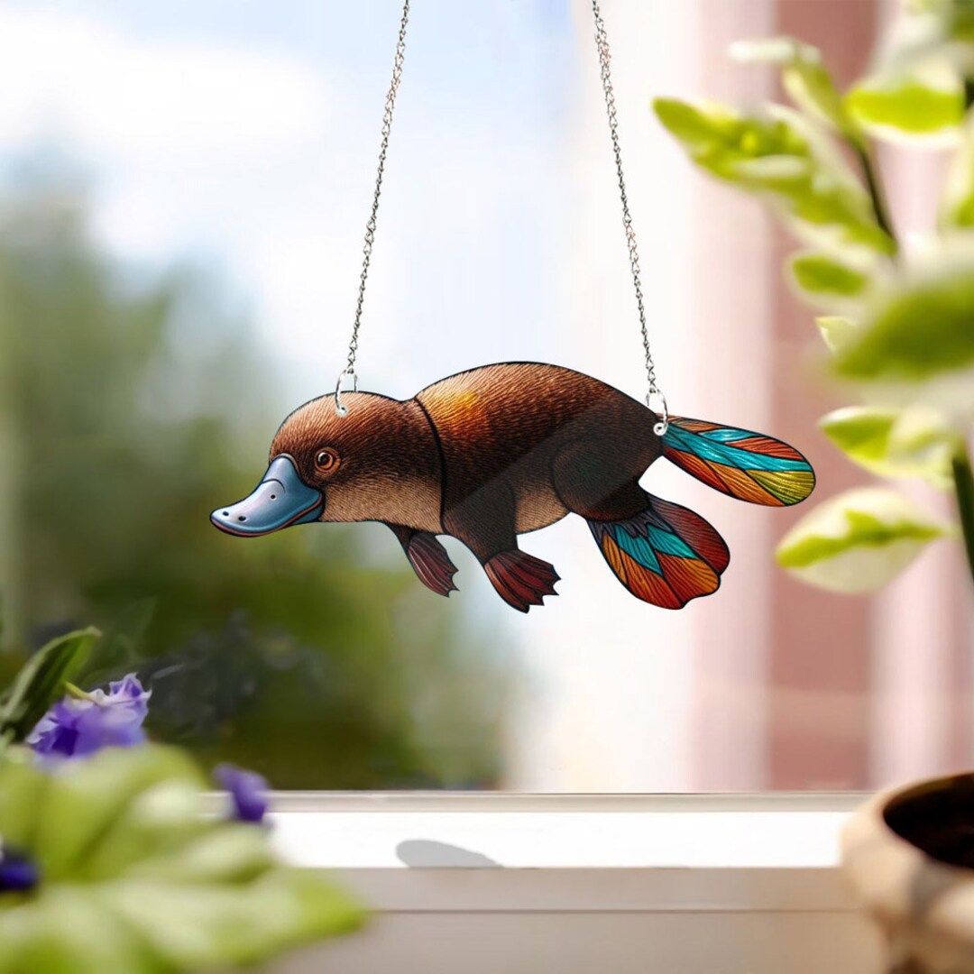Platypus Acrylic Window Hanging, Platypus Lovers Gift, Animal Lover ...