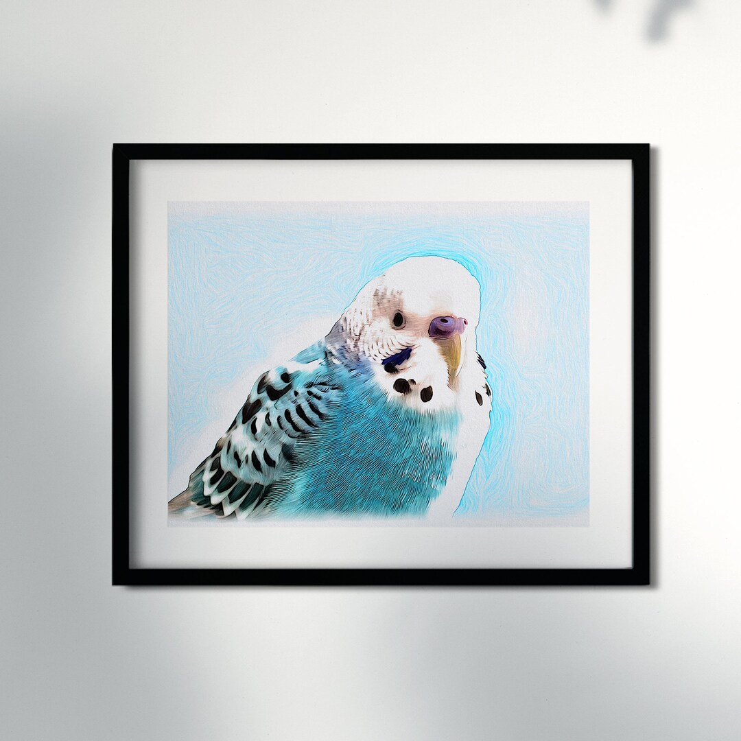 Parakeet Portrait, Digital Download, Printable - Etsy