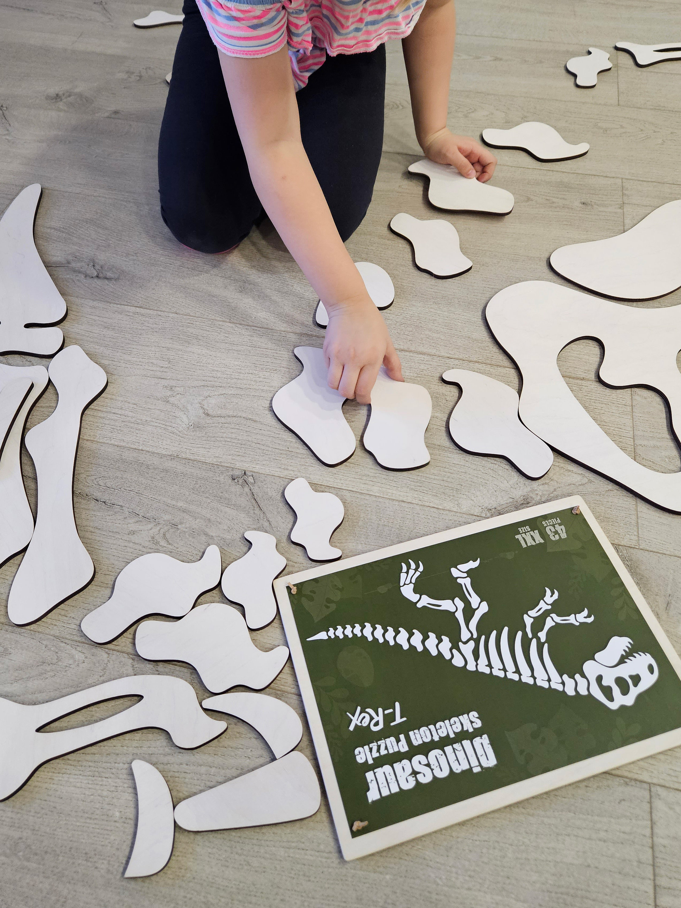 Giant Dino Skeleton Puzzle, Big Handmade Garden Game, Tyrannosaurus ...