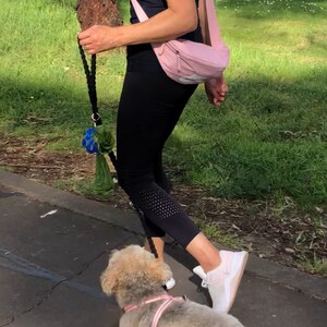 100% Recycled Dog Poop Bag Holder, Dog Poop Bag Holder, Hands Free Poo ...