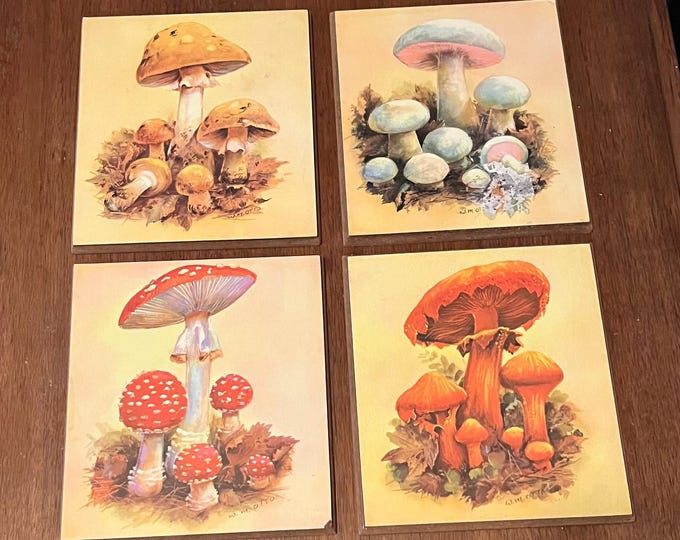Set of 4 Vintage W.M. Otto 1970s Mushroom Wood Plaques Wall Decor. MCM ...