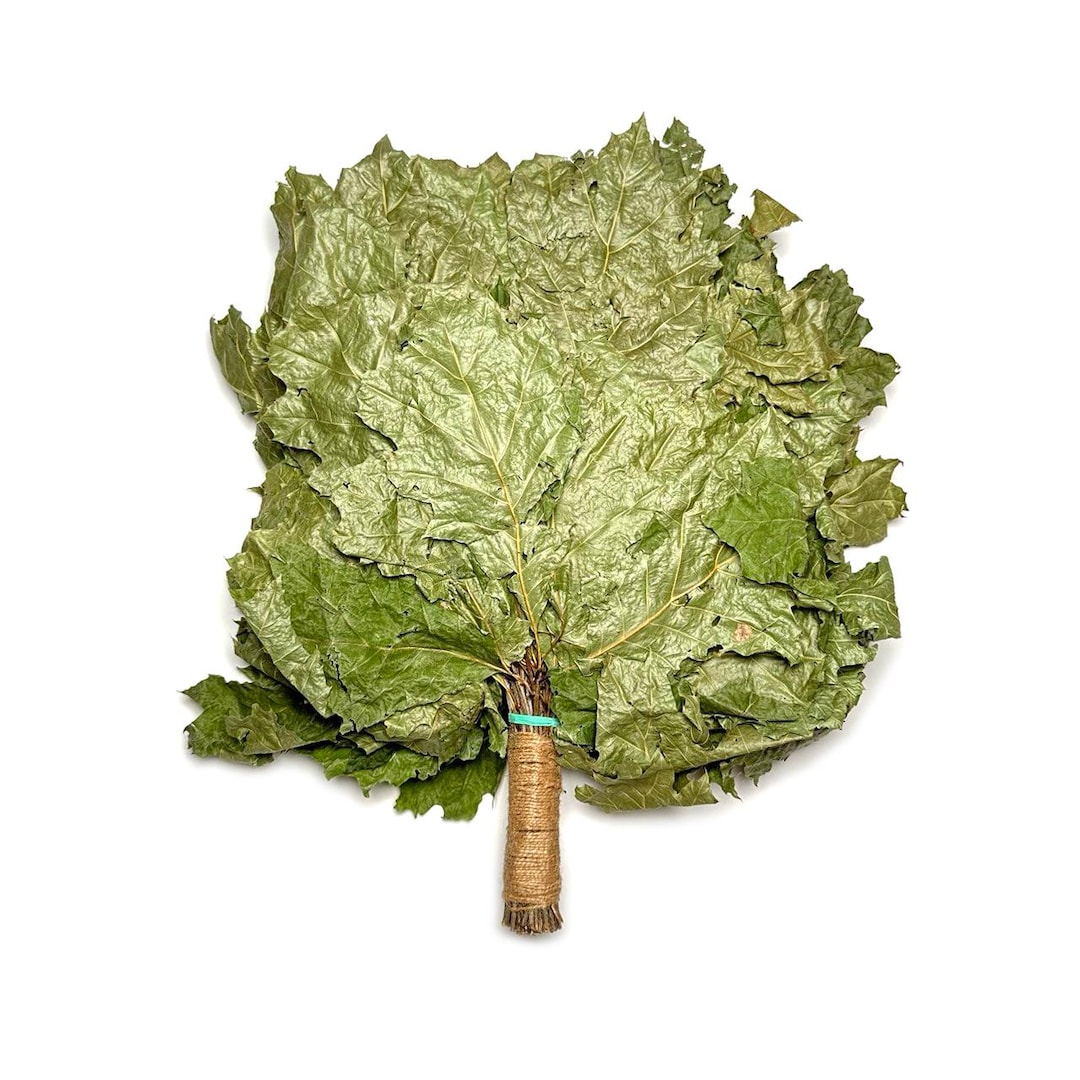 Set of 10 Sauna Oak Brooms | Banya Oak Whisk | Banya Bath Sauna Steam ...