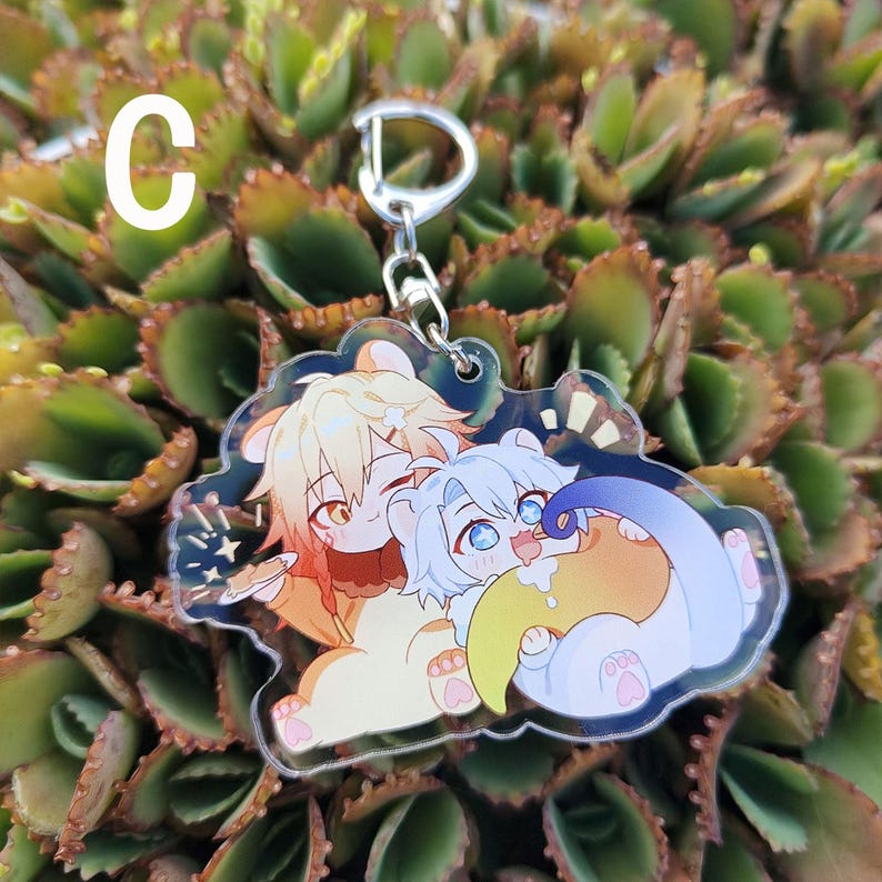 Honkai Star Rail Phainon Mydei Acrylic Keychain Inspired Charm for Bags ...