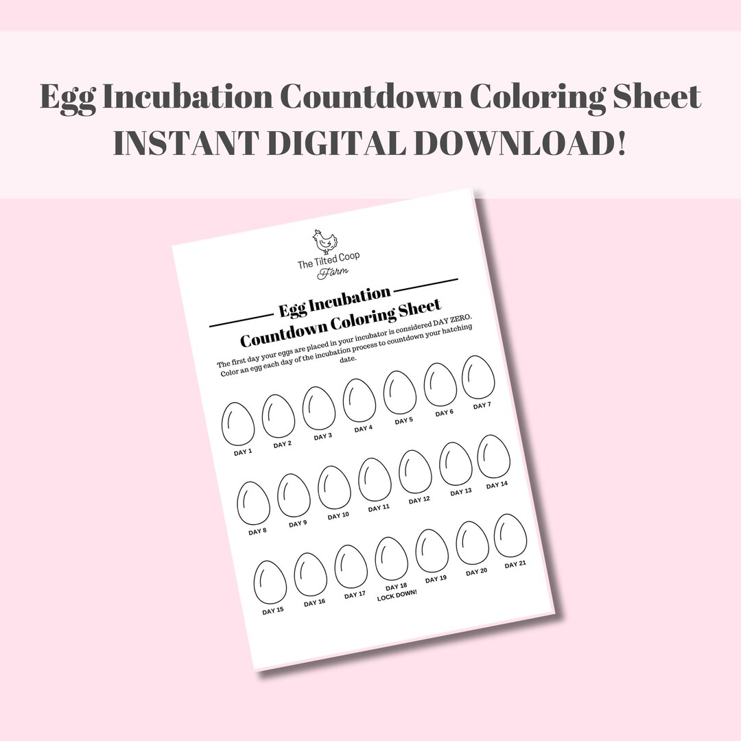 Egg Incubation Countdown Coloring Sheet - Etsy Canada