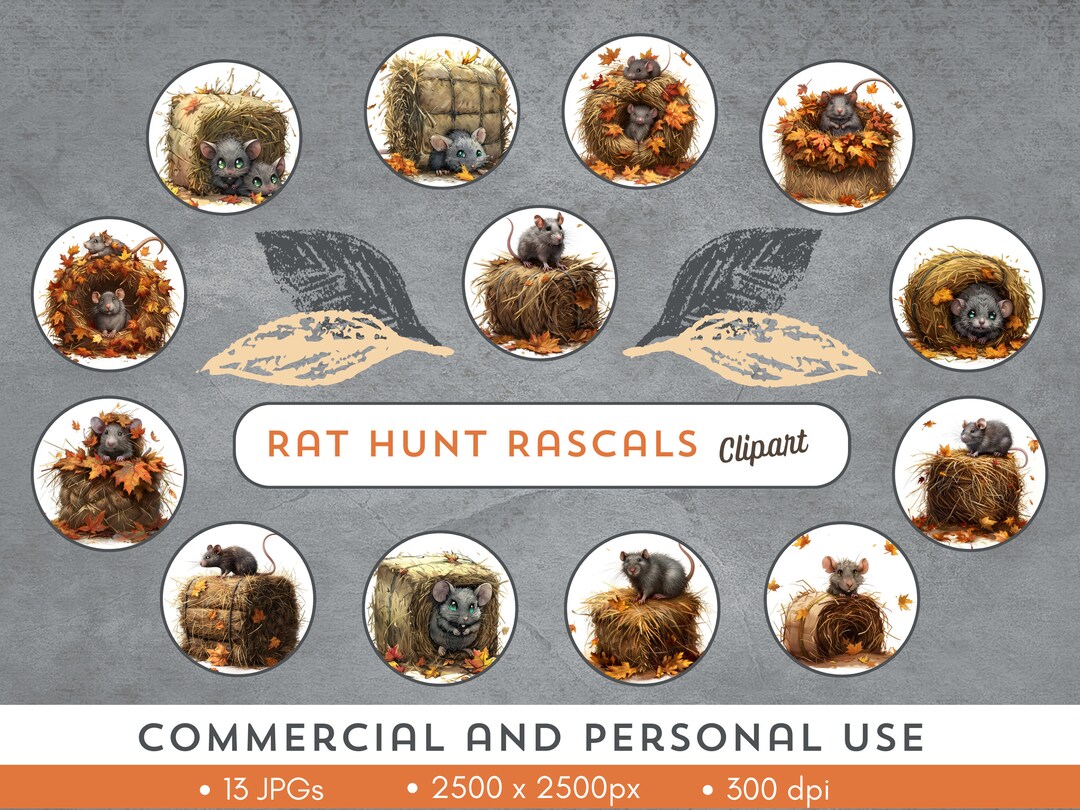 Rat Hunt Rascals! Cute Rat and Bale Clipart. Commercial or Personal Use ...