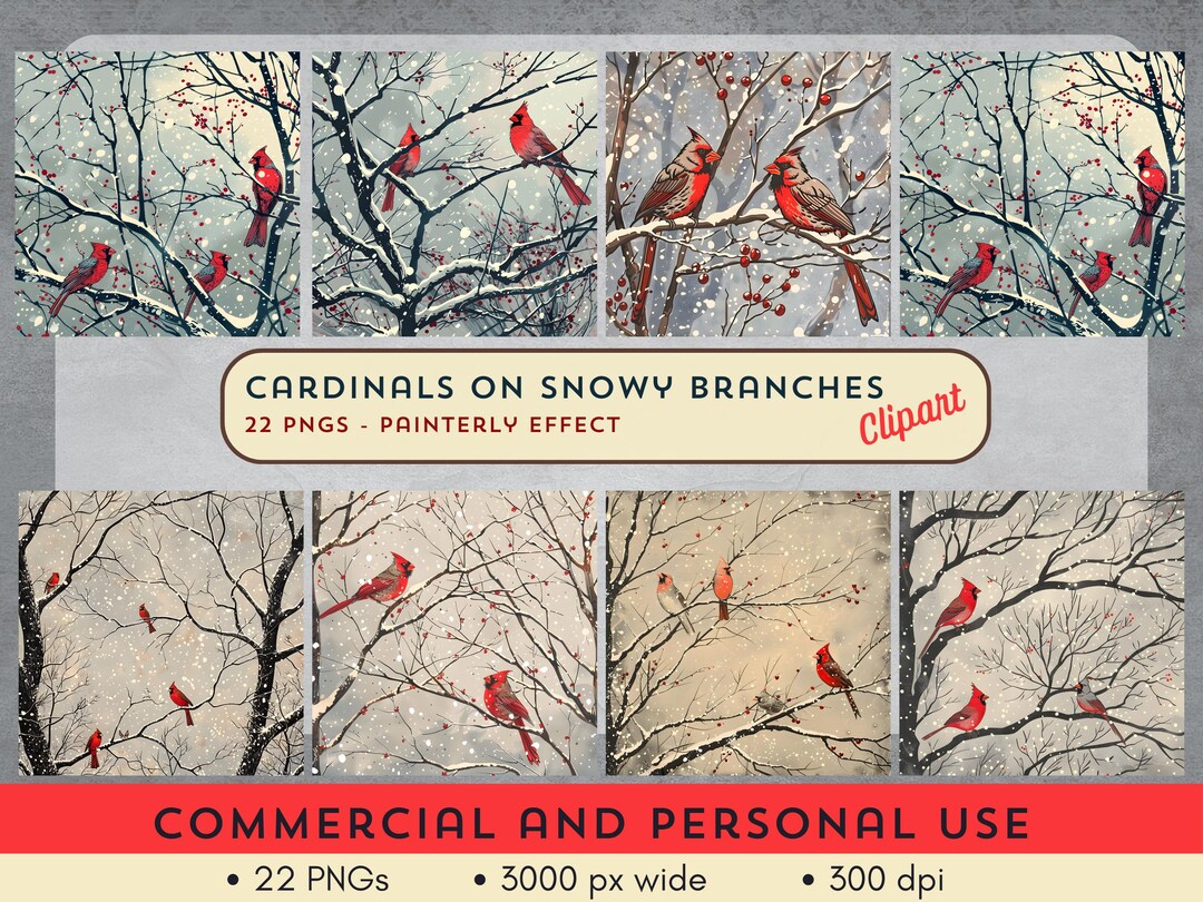 Winter Cardinal Graphics Clipart Pack - 22 Painterly Cardinal PNG ...