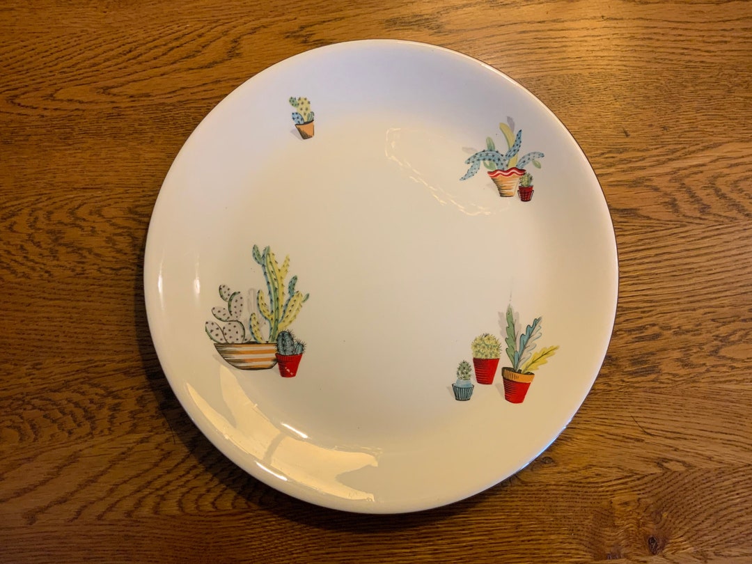5 Alfred Meakin Cactus Dinner Plates Rare Design From 1950's - Etsy UK
