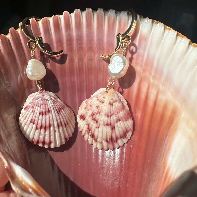 Shell Earrings - Etsy