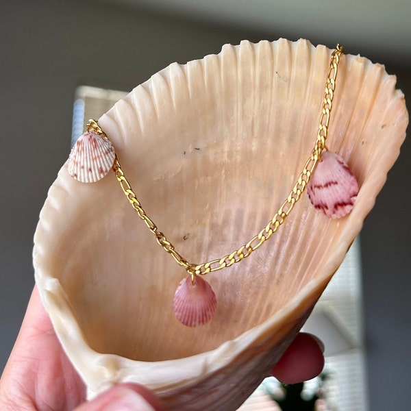 Shell Anklet - Etsy