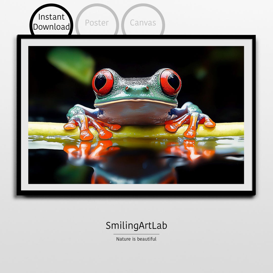 Red Eyed Tree Frog Painting - Australian Animal - Colourful Animal ...