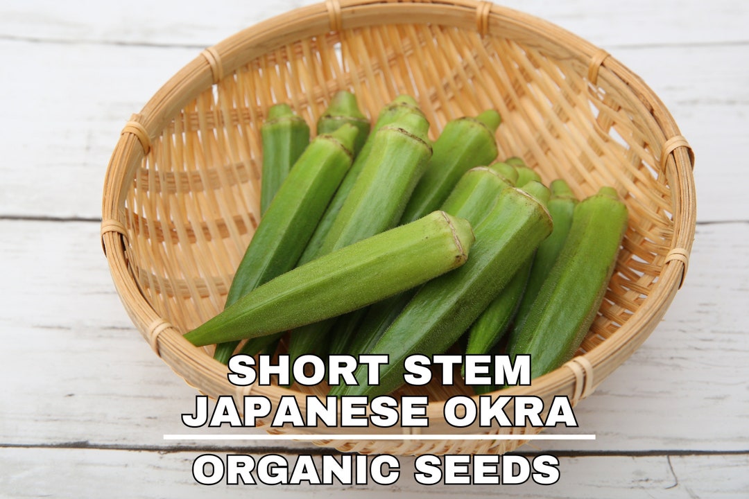 Short Stem Japanese Okra Seeds , 50+ Count Organic Okra Heirloom Seeds ...
