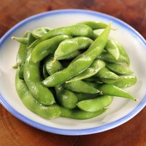 Midori Giant Edamame Organic Seeds , 50+ Count Organic Soybeans ...