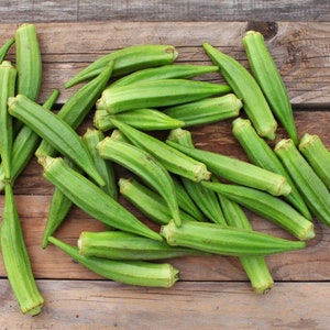 Clemson Spineless Okra Seeds , 50+ Count Organic Okra Heirloom Seeds ...