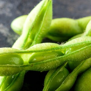 Midori Giant Edamame Organic Seeds , 50+ Count Organic Soybeans ...