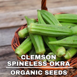 Clemson Spineless Okra Seeds , 50+ Count Organic Okra Heirloom Seeds ...