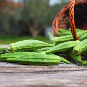 Clemson Spineless Okra Seeds , 50+ Count Organic Okra Heirloom Seeds ...