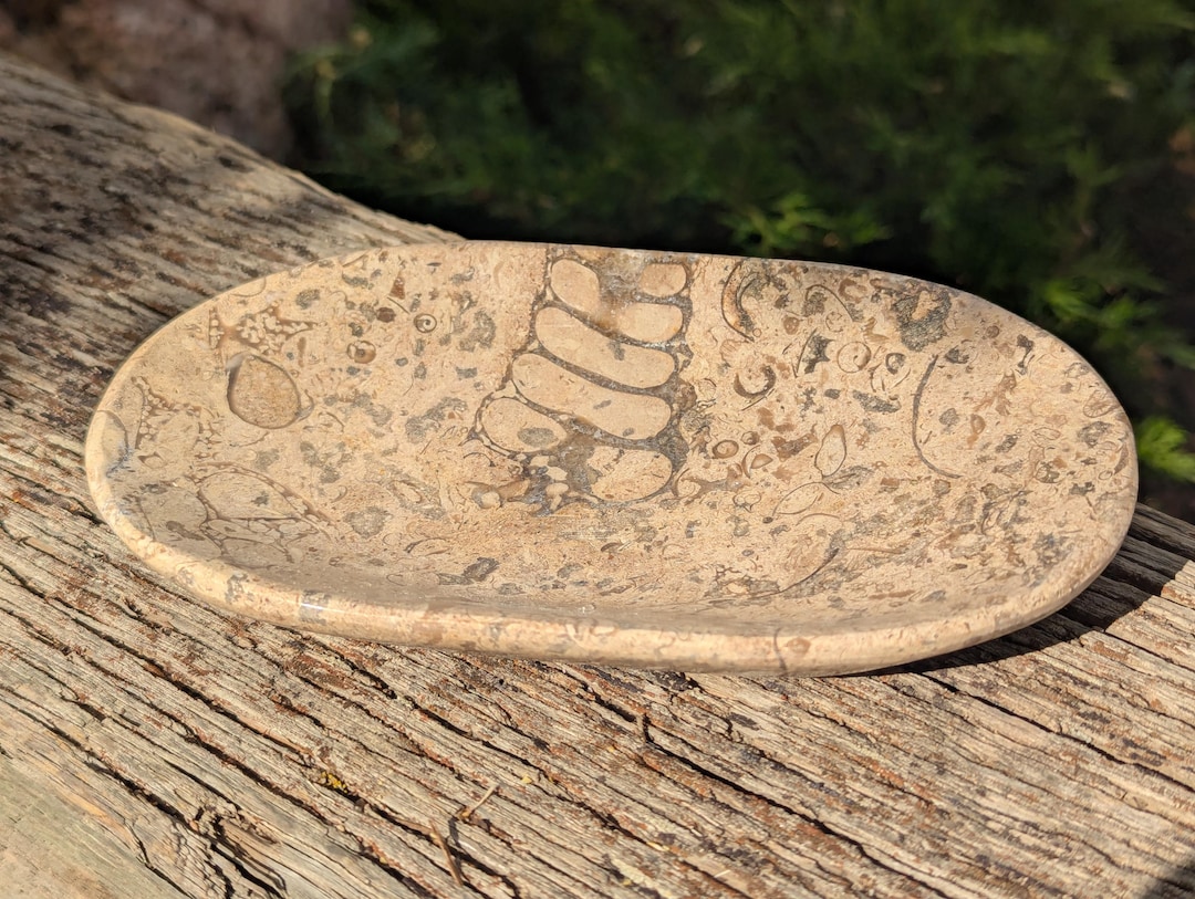 7" Fossil Marble Soap Dish / Stone Carved Bath Dish - Etsy