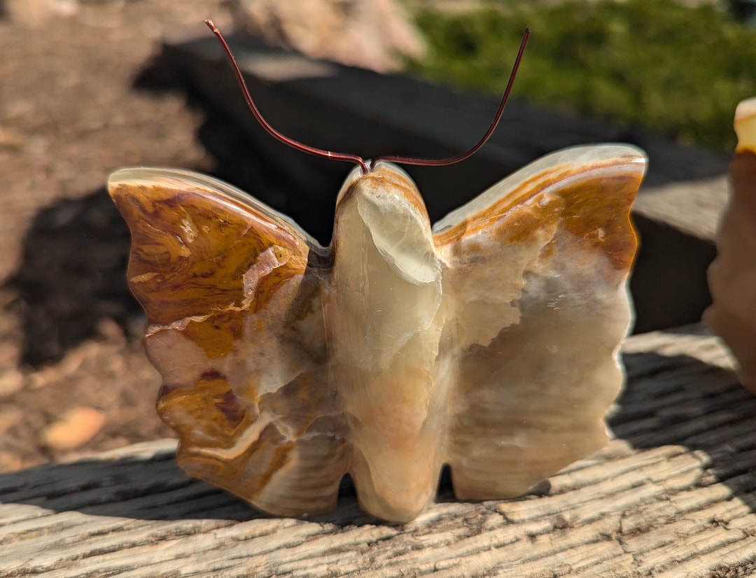 Onyx Butterfly Carved Statue / Stone Onyx Figurine / Onyx Animal ...