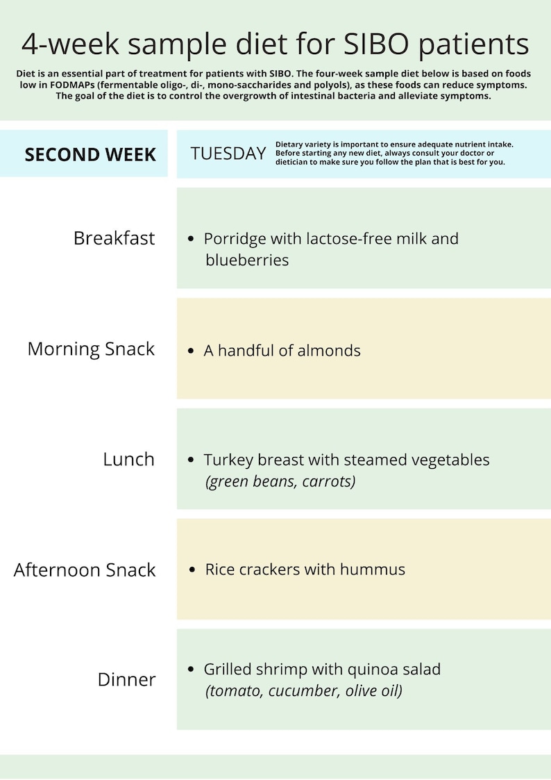 SIBO Diet Low FODMAP Diet Recipes Meal Plan Ecovery Digestive Health ...