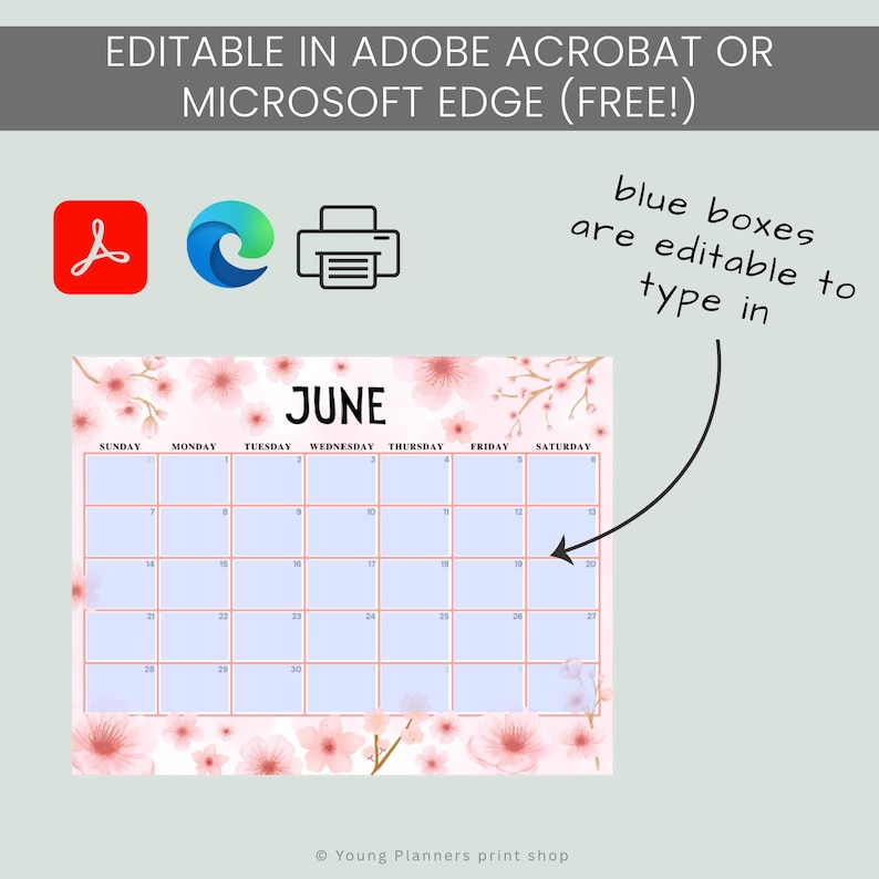 Editable 2026 Monthly Calendar, Editable PDF Download - Etsy