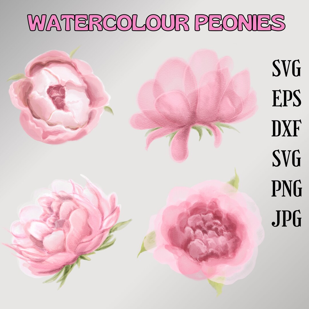 Peonies Svgpeony Svgpeonies Svg Bundlewedding Flowers Svgwedding Floral ...