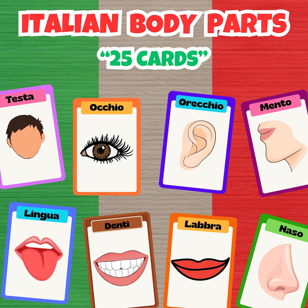 Italian Body Parts Flashcards: Kids' Language Learning (PDF Download ...